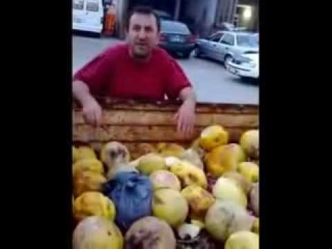 1 liraya kelek kavun satan kavuncumuz