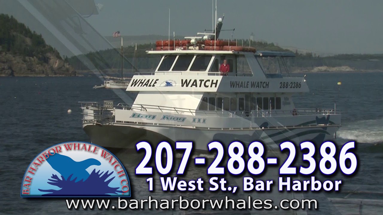 Bar Harbor Whale Watch-Lighthouses - YouTube