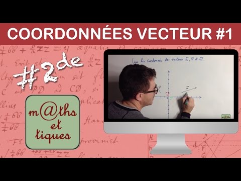 Lire les coordonnées d'un vecteur - Seconde