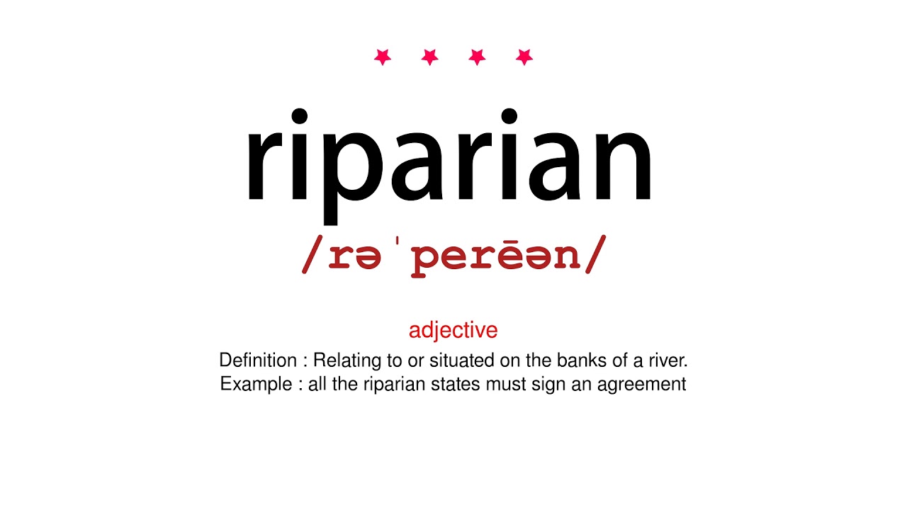 How to pronounce riparian - Vocab Today - YouTube