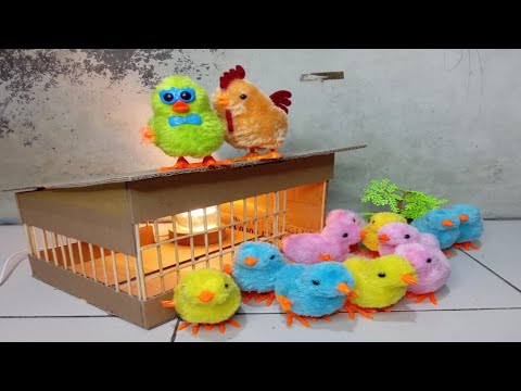 Ayam ku mainan, ayam gaul,ayam puter, ayam pink, ayam biru,ayam kuning ...