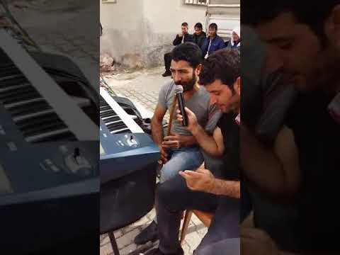 Yeni Kaval Şewko