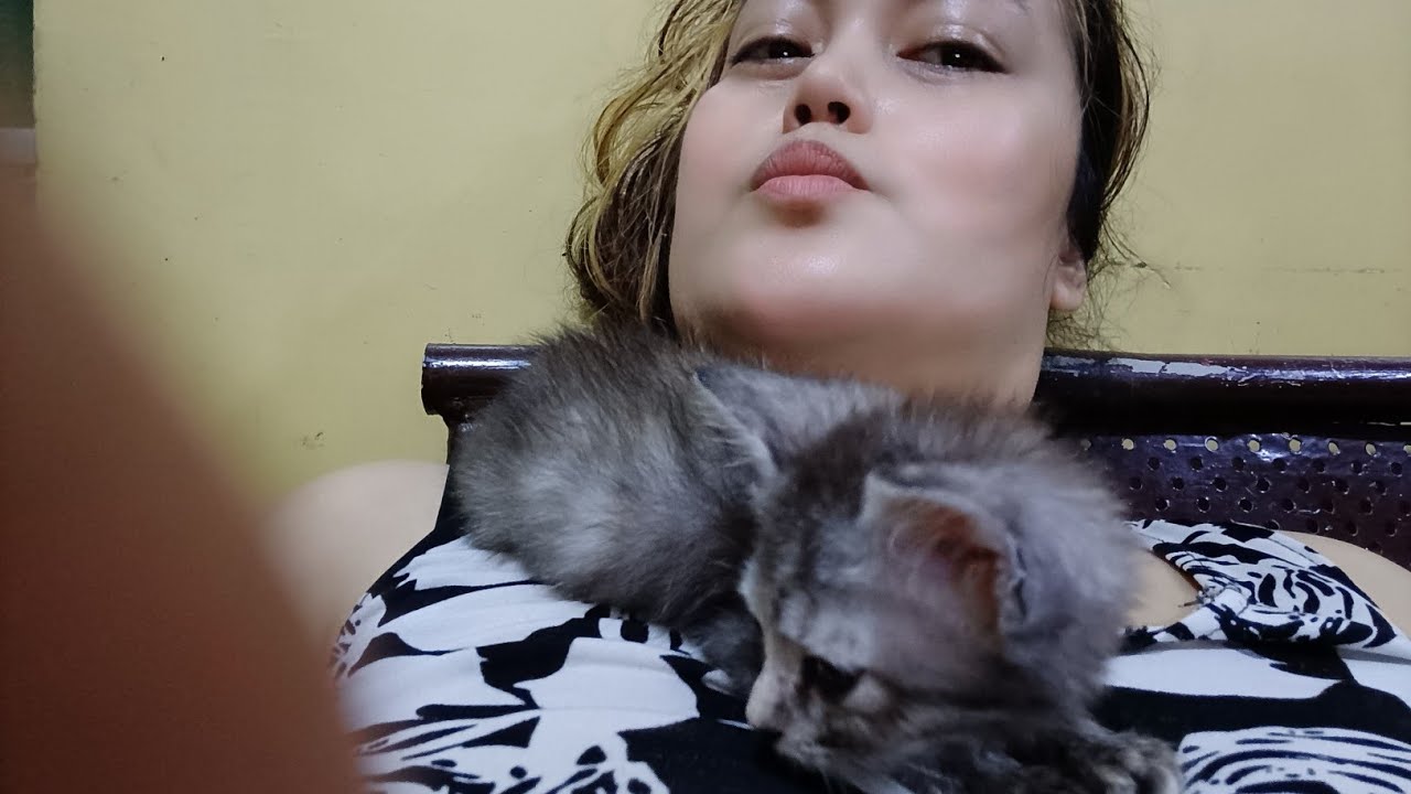 Pusa na parang daga - YouTube