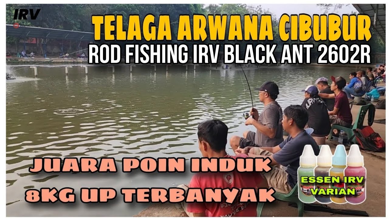 ESEN DUREN JUARA POIN 8UP TERBANYAK//TELAGA ARWANA CIBUBUR - YouTube