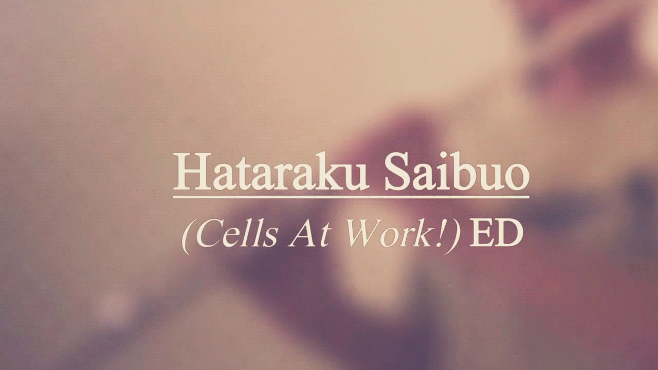 CheerS- ClariS [Hataraku Saibuo/Cells at Work] ED (Flute Cover) - YouTube
