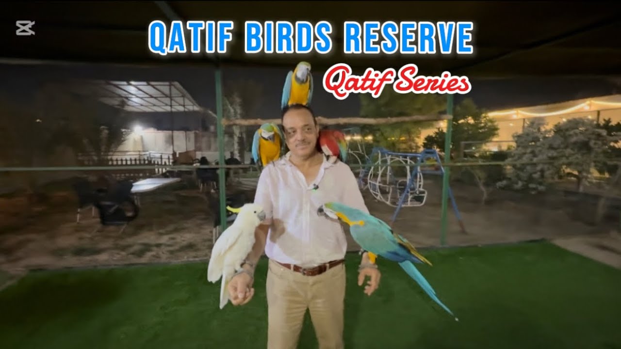 Qatif Birds Reserve 🦜🌿 | Colorful Parrots & Beautiful Birds | Qatif ...