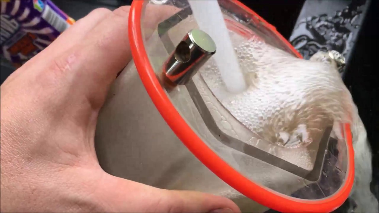 coin tumbling how to clean your dirty coins from metal detecting - YouTube