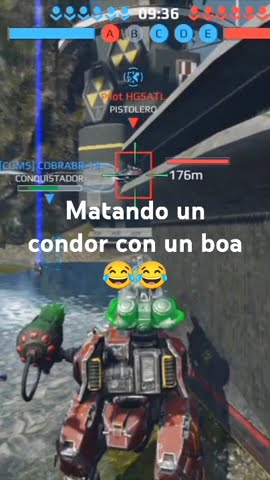 Boa vs cóndor - YouTube