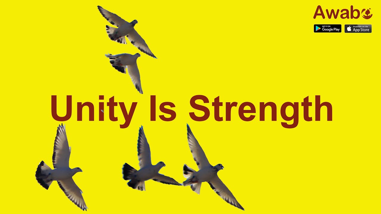 Unity Is Strength | English Stories | Awabe - YouTube