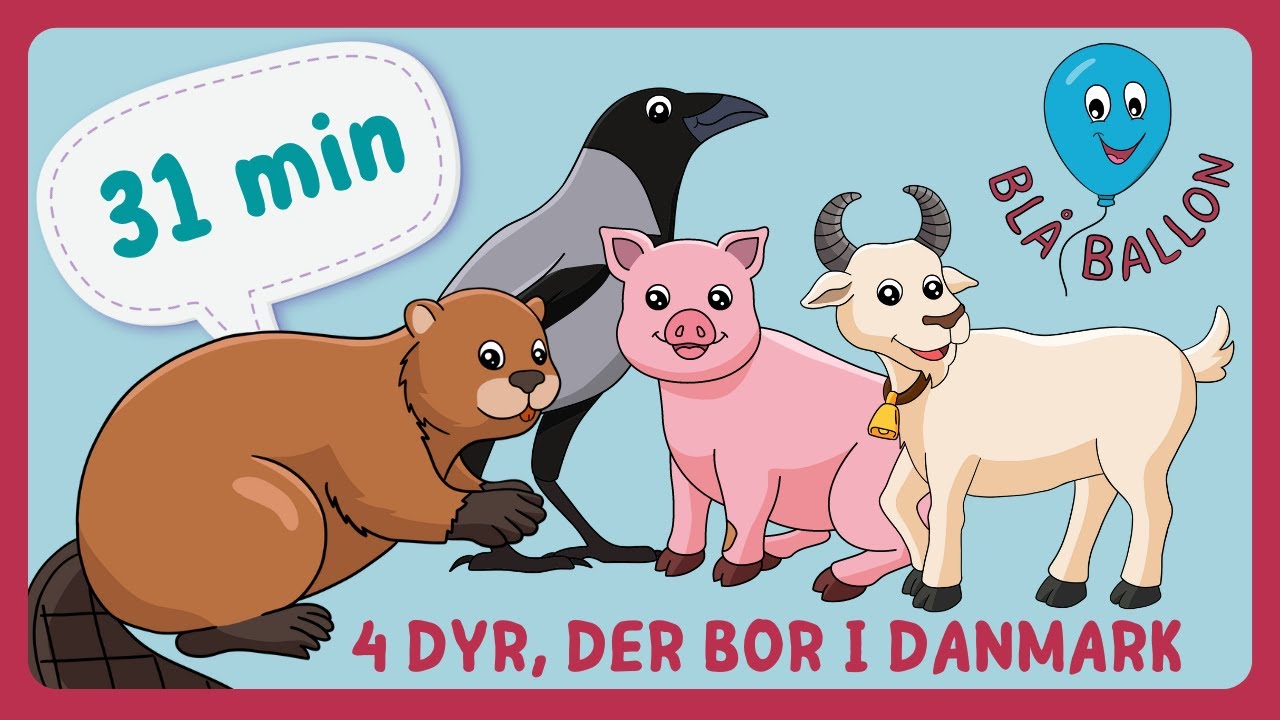 31 MINUTTER: 4 dyr, der bor i Danmark: Bæver, krage, ged, gris. - YouTube