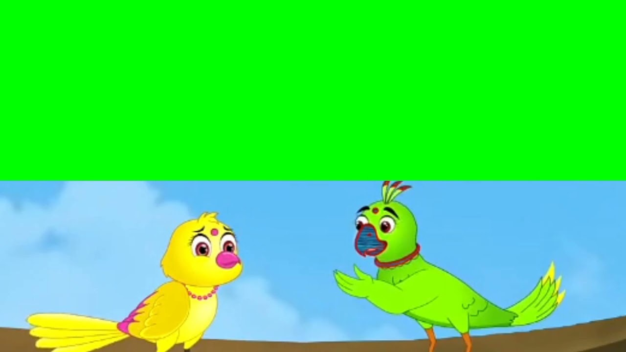 Tuni birds & parrot green screen Tuni chidiya animation green screen no ...