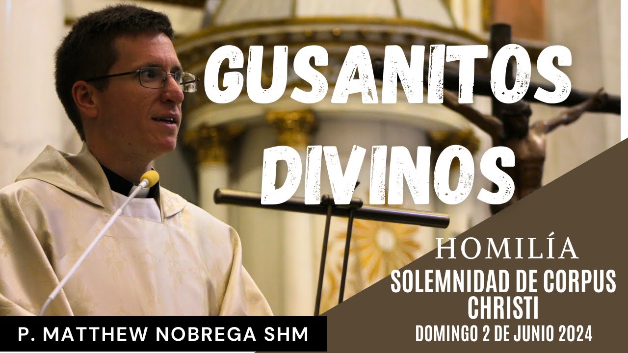 Gusanitos divinos, Homilía, P. Matthew, Domingo 2 junio 2024 - YouTube