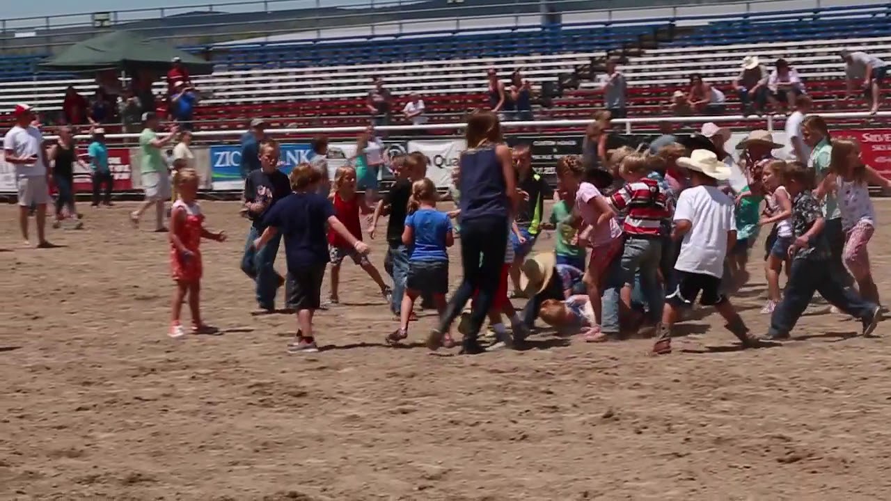 a kids pig chase at kids rodeo - YouTube