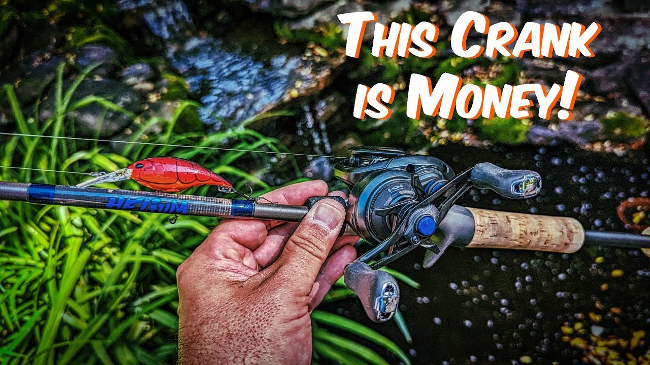 Success at Last! Landing Fish with the Berkley Money Badger Crankbait ...