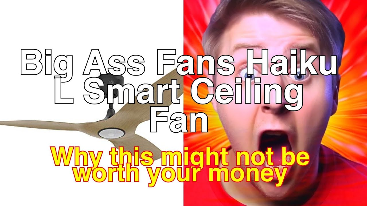 Big Ass Fans Haiku L Smart Ceiling Fan Review - The Perfect Comfort ...