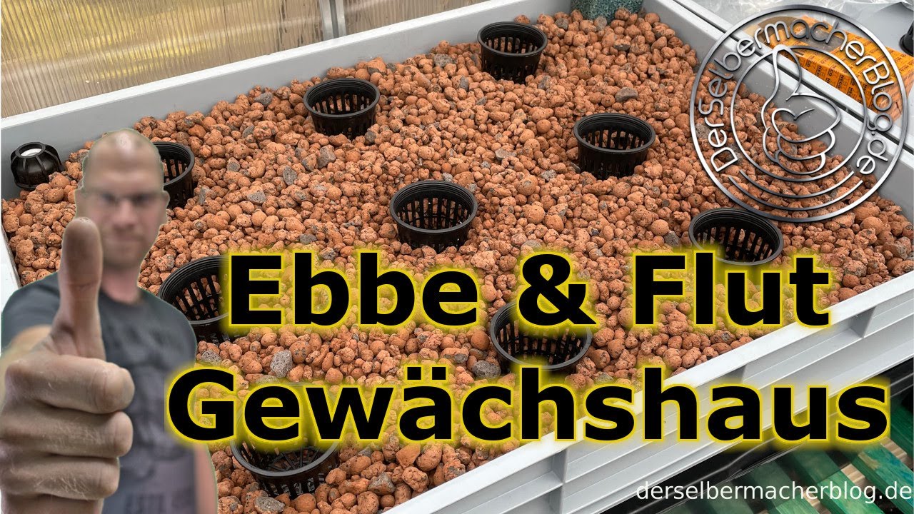 Ebbe und Flut System Gewächshaus (Hydroponik, Aquakultur, Hydrokultur ...