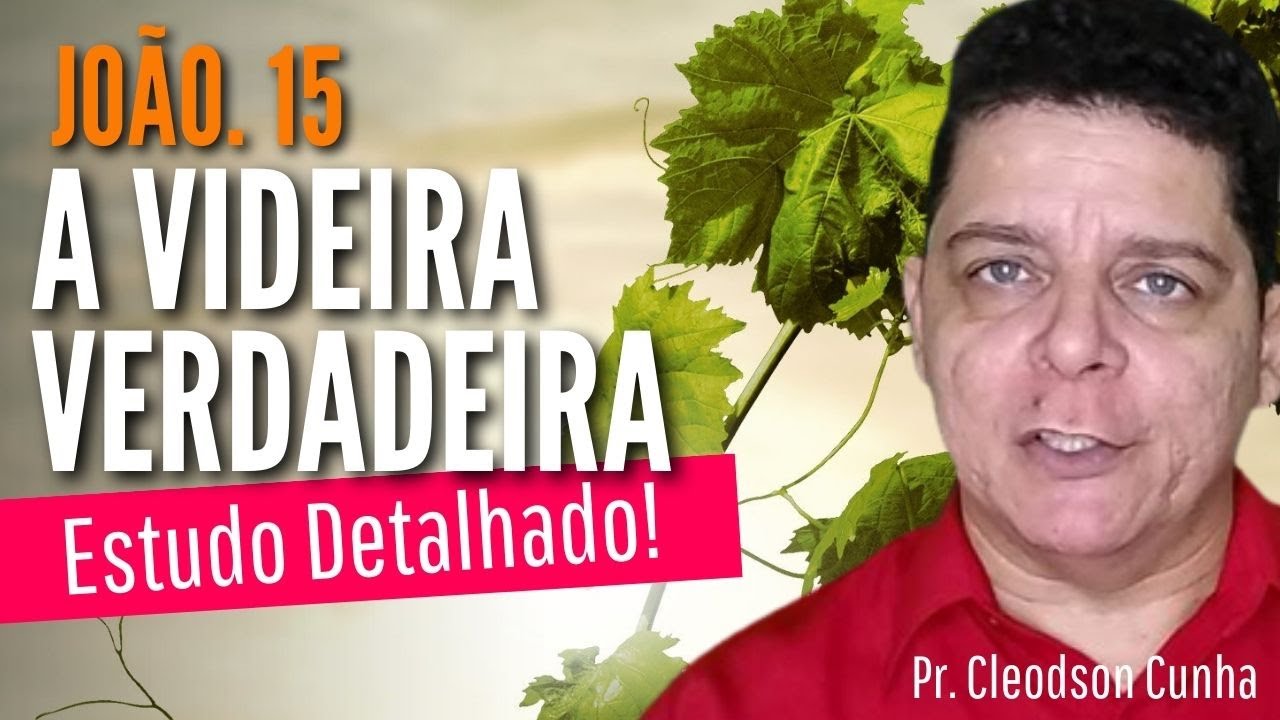 João 15 - A videira verdadeira - Estudo Biblico completo - YouTube
