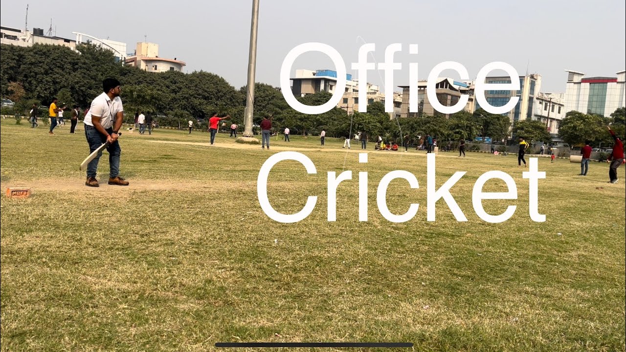 Cricket playing in office outside best cricket enjoying in lunch time # ...