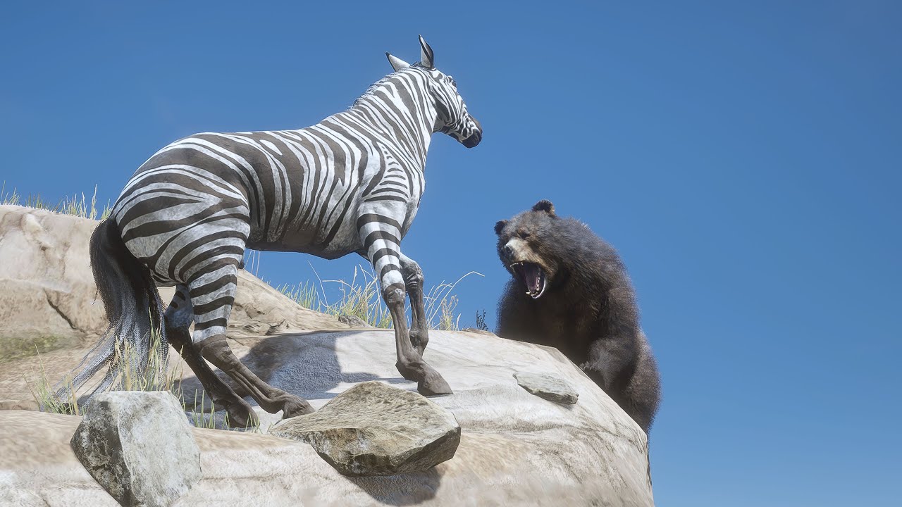 Zebra KICKs Grizzly Bear from The Cliff ️ Red Dead Redemption 2 PC 4K ...