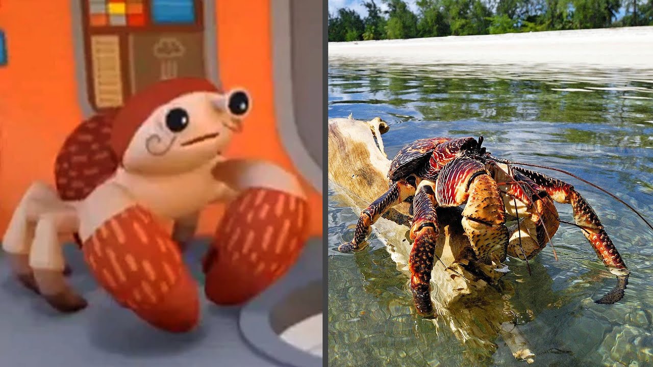 Claude In Real Life Octonauts Youtube