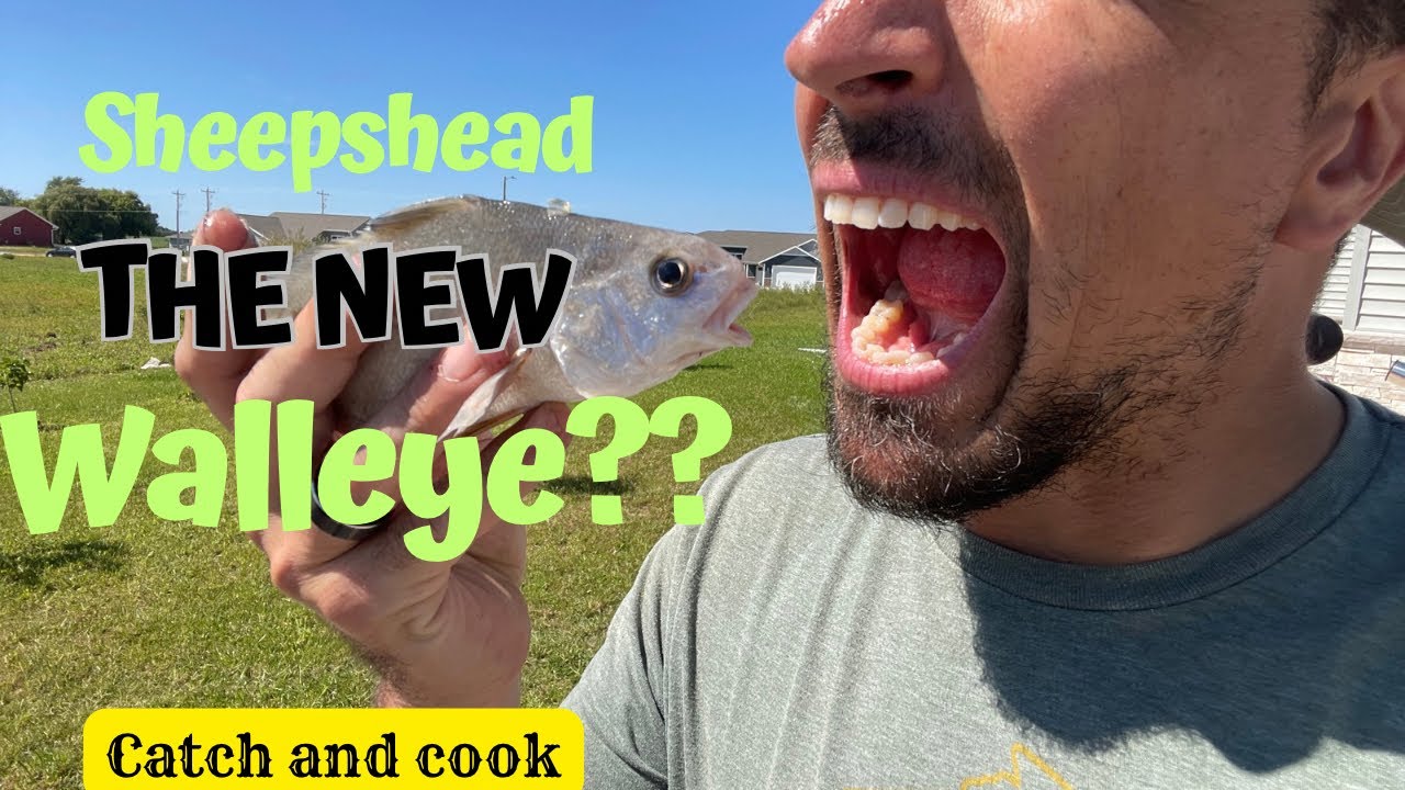 Lake Winnebago Perch fishing & {sheepshead catch and cook!! } - YouTube