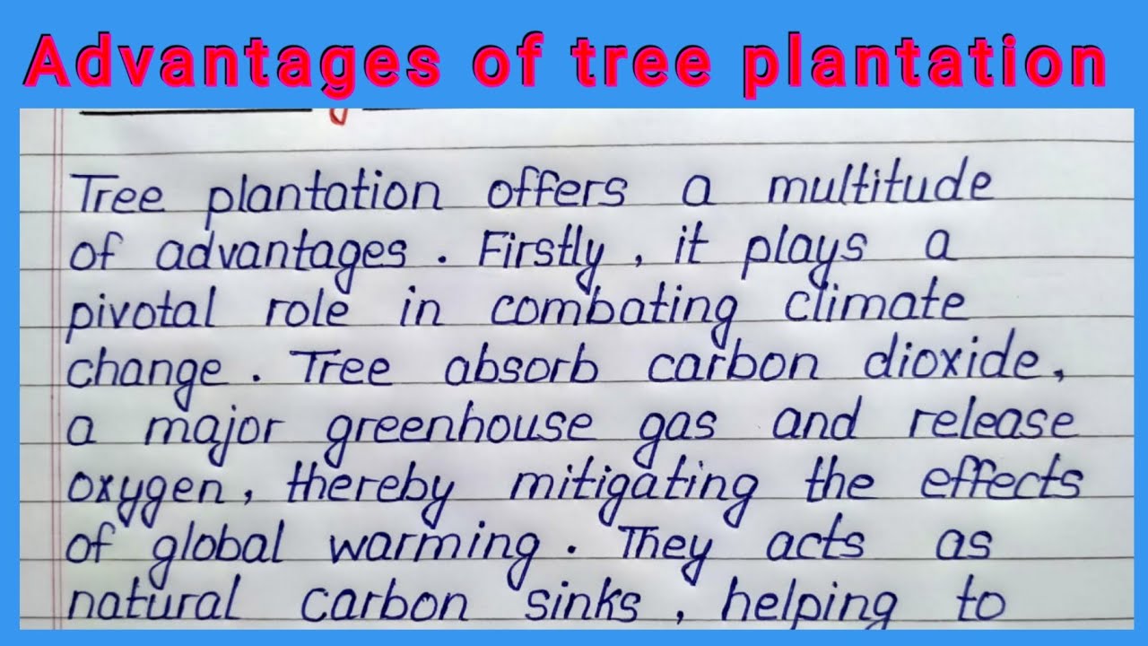 essay writing on advantages of tree plantation || advantages of tree ...