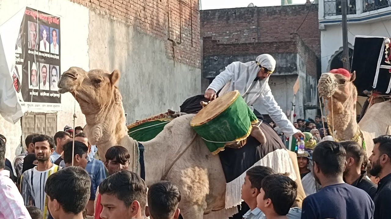 28 Rajab || 28 Rajab safar imam Hussain as|| 28 Rajab what's app status ...