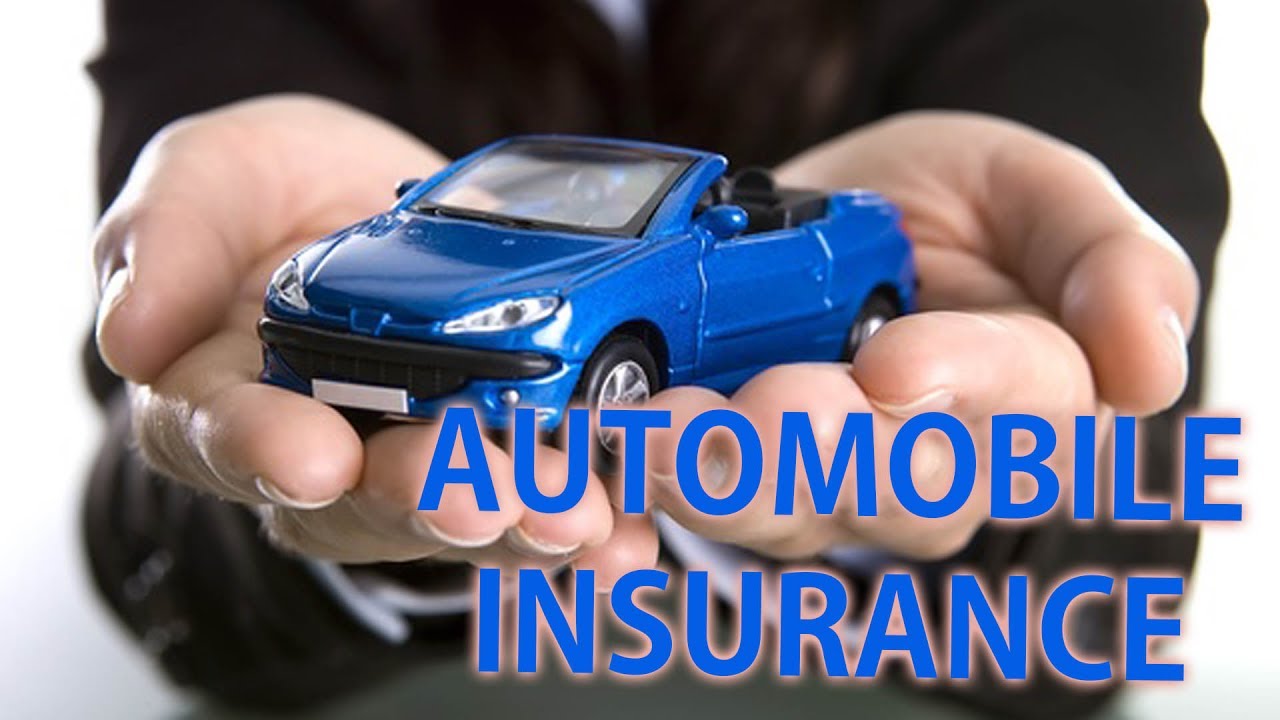 Automobile Insurance Reform - YouTube