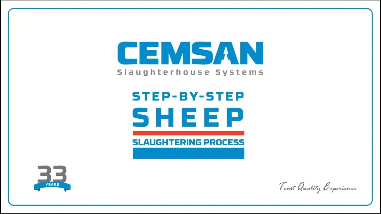 STEP BY STEP SHEEP SLAUGHTERING PROCESS - YouTube