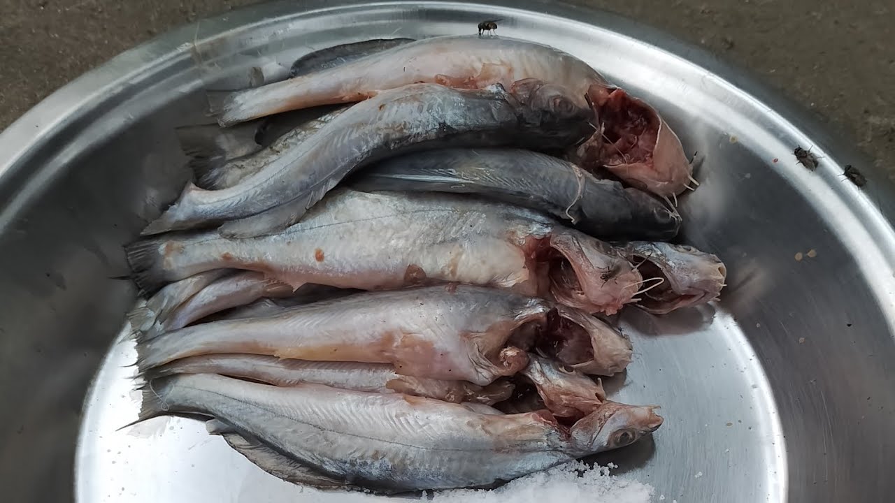 fish katar sohoj upai - YouTube