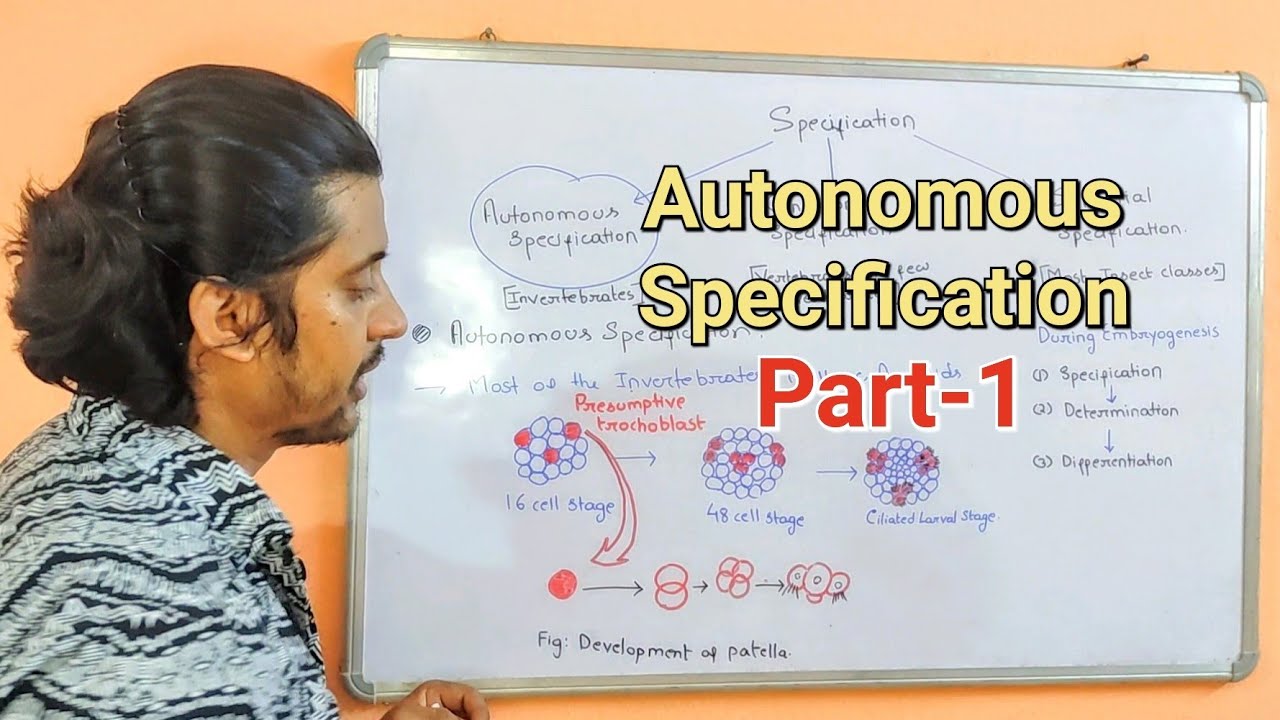 Autonomous Specification || Development Biology || Csir net lifescience ...