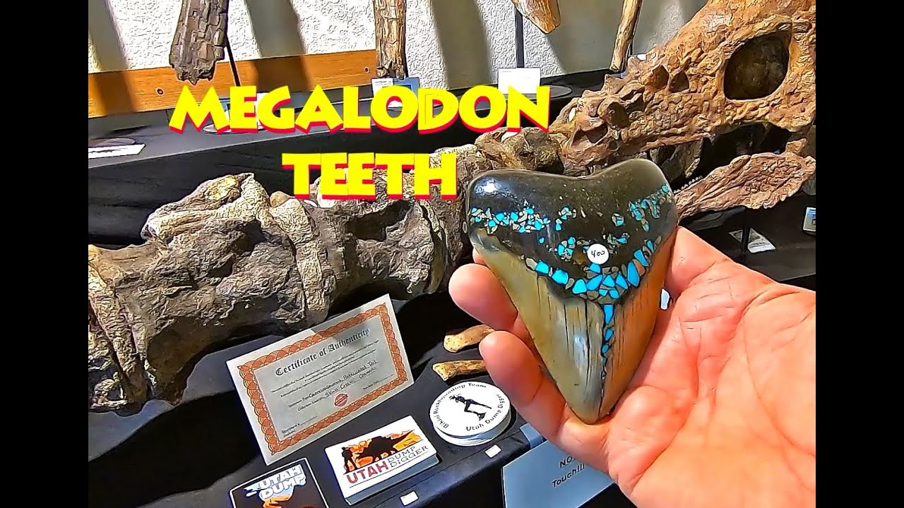 Phenomenal Crystal Thrones & Dino Bones - Tucson Gem, Mineral & Fossil ...