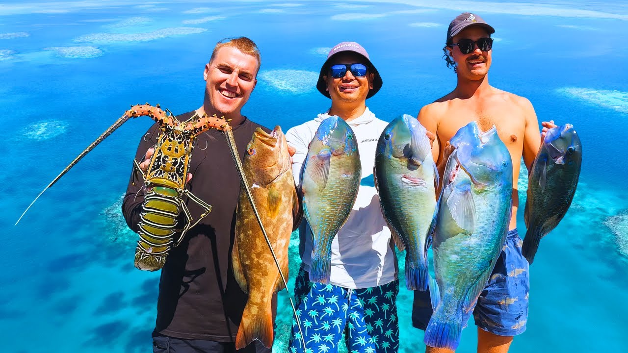 Spearfishing on the Great Barrier Reef (Beginners Guide & Journey ...