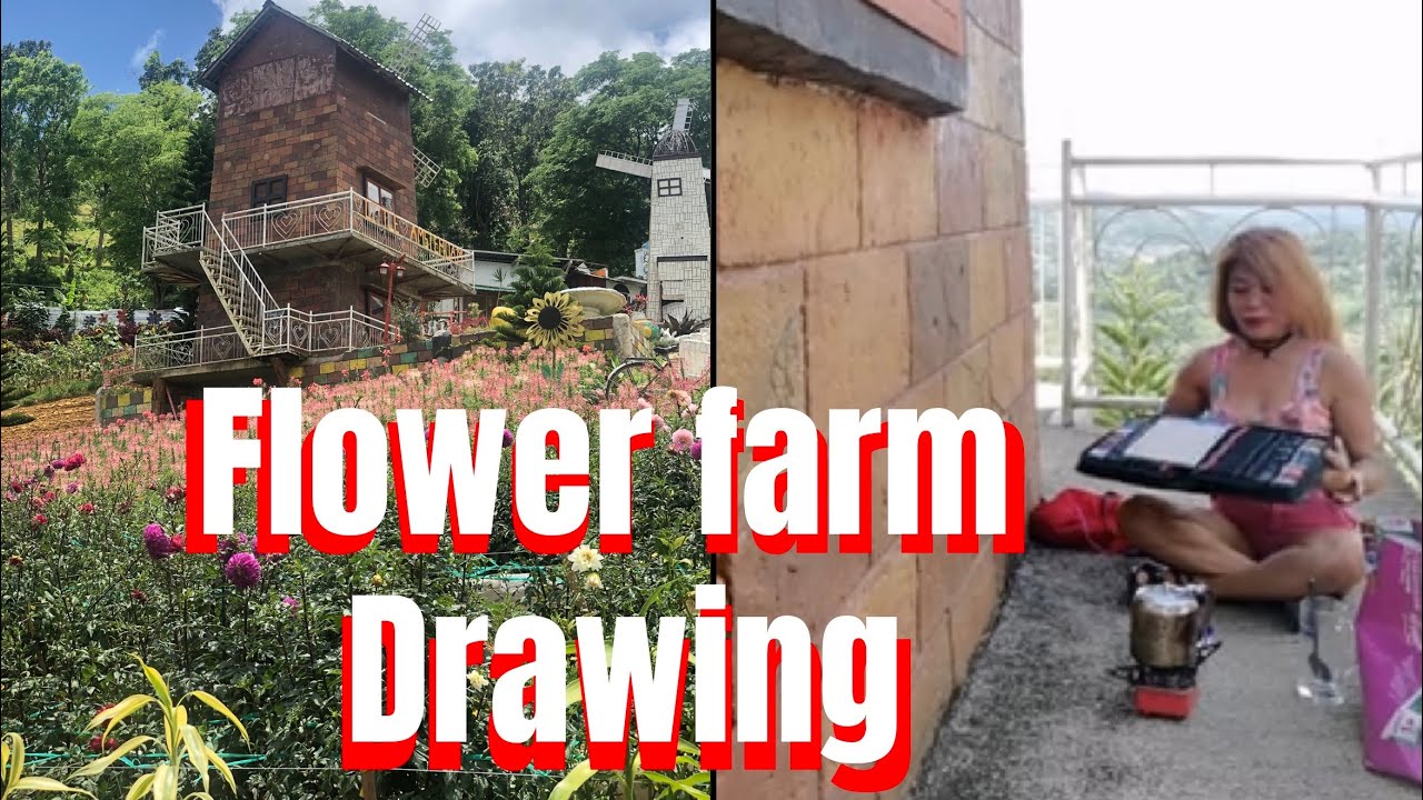 She tries Drawing at a Flower Farm | Sirao Flower Farm #philippines # ...