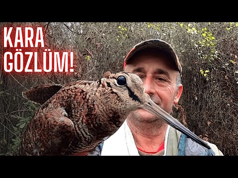 Boş Geçtiğimiz Av Yok! | 4 Çulluk Aldık! | Bereketli Çulluk Avı | Hunting Woodcock 2022