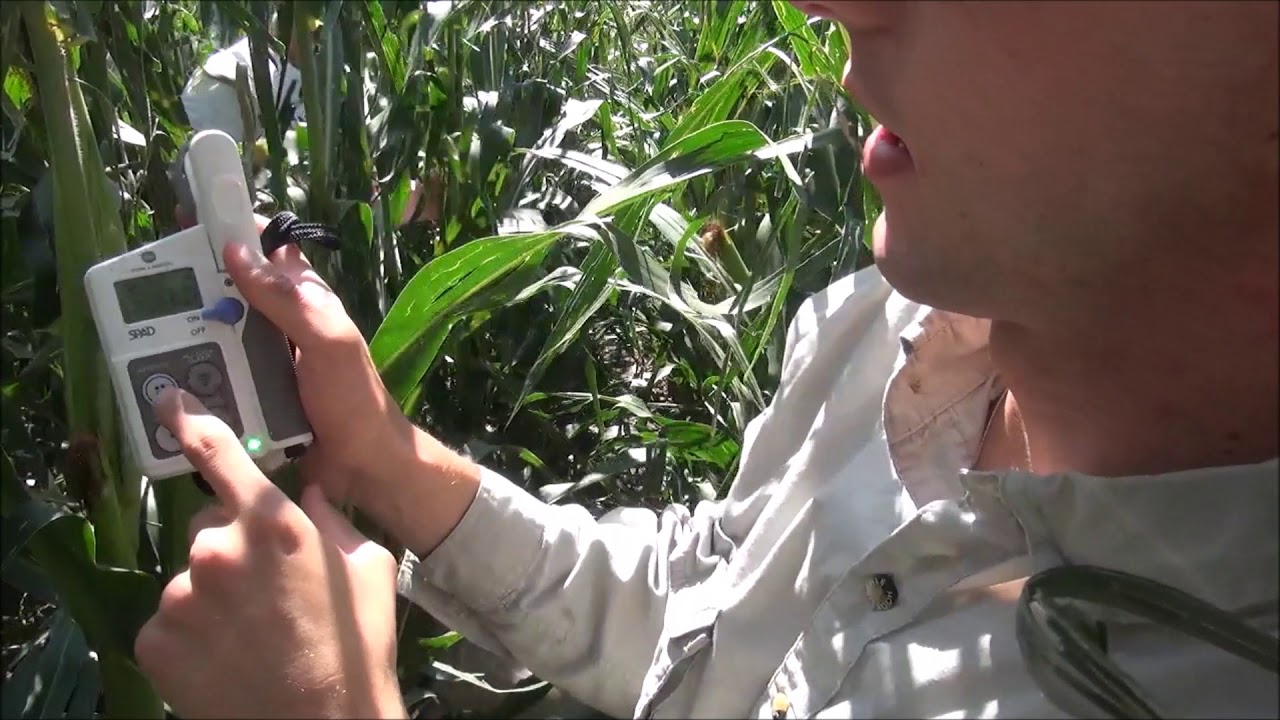 SPAD 502 Plus Chlorophyll Meter: Tutorial - YouTube