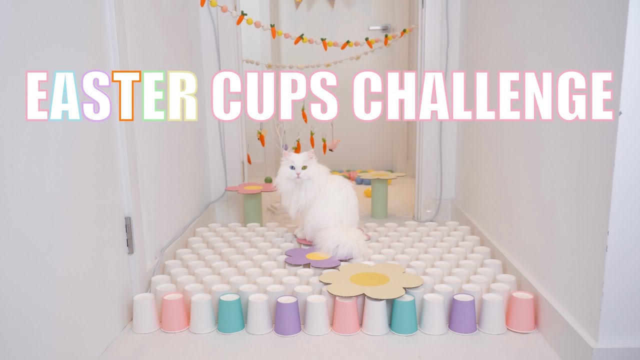 Cats vs Cups | 🥚🐰🥕 Easter Challenge | Happy Easter - YouTube