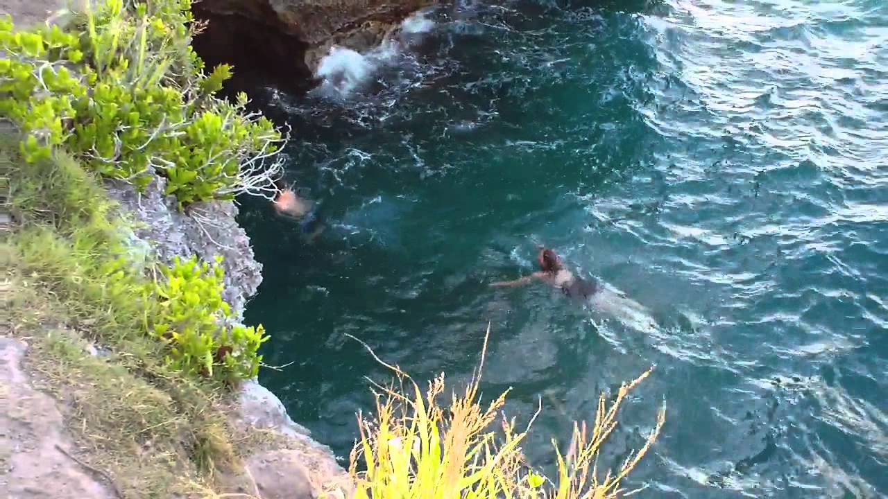 cliff Jumping bermuda - YouTube