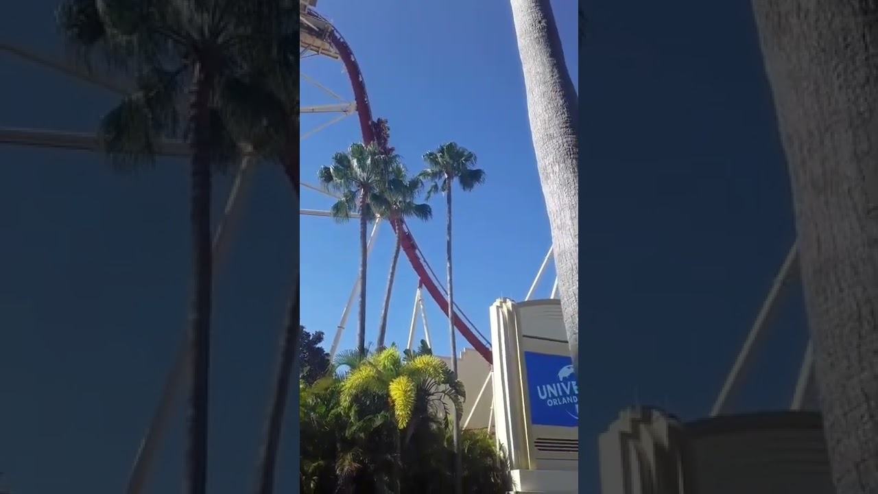 Hollywood Rip Ride Rocket - YouTube