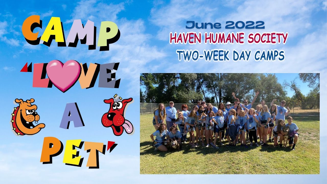 Camp Love-A-Pet (June 2022) - YouTube