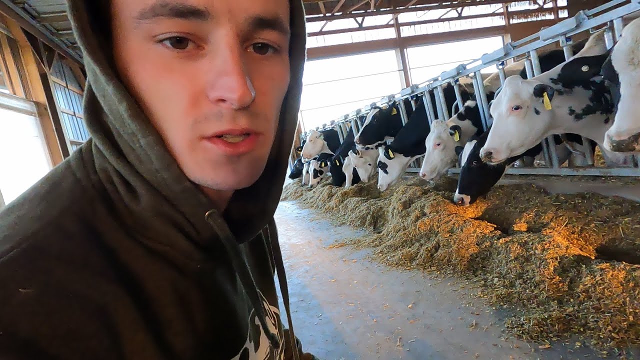 Update on New Pre-fresh Feed Strategy - YouTube