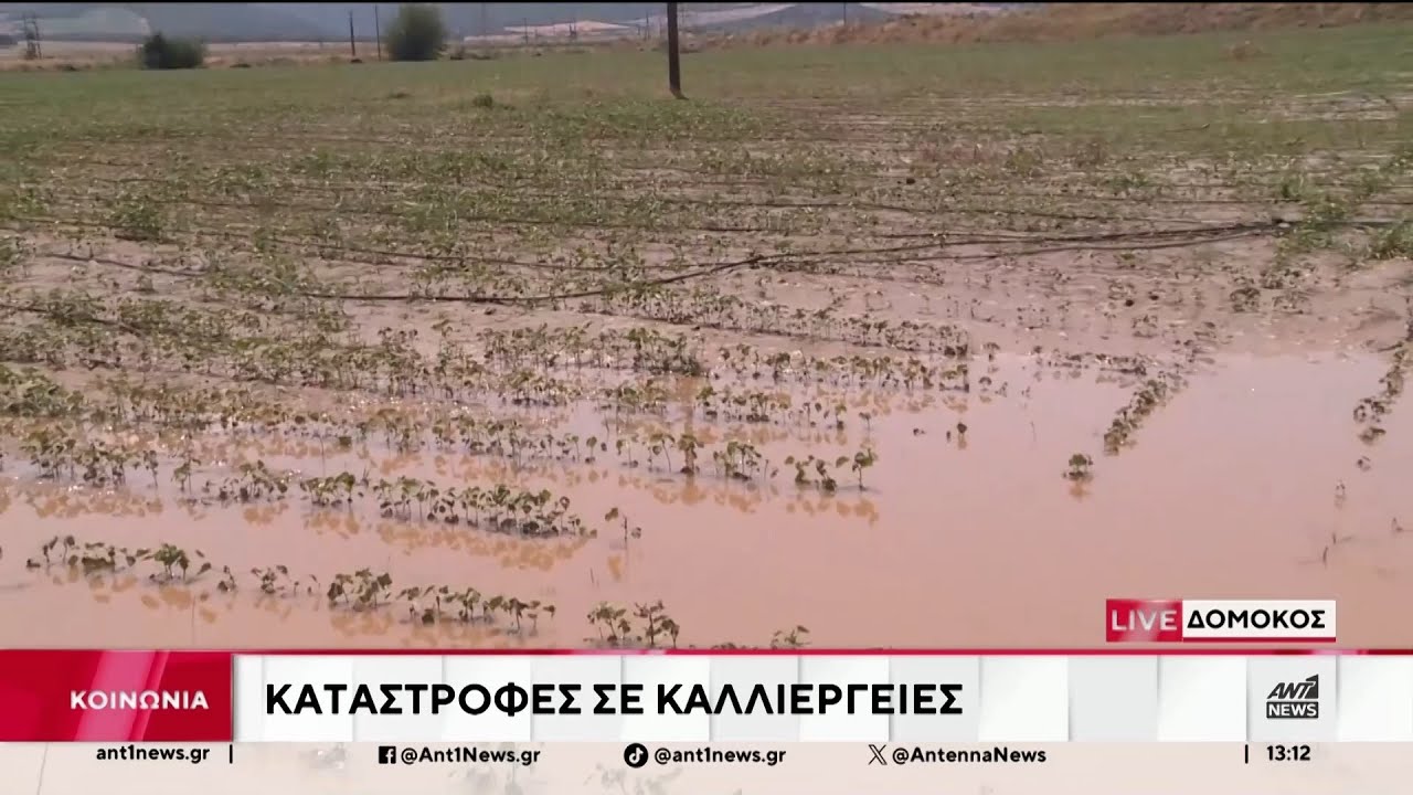 Κακοκαιρία: Ζημιές από τη βροχή και το χαλάζι στην Βόρεια Ελλάδα - YouTube