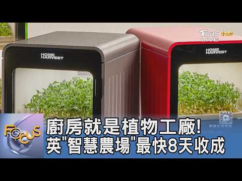 廚房就是植物工廠! 英「智慧農場」最快8天收成｜FOCUS午間新聞 20260623 @TVBSNEWS01