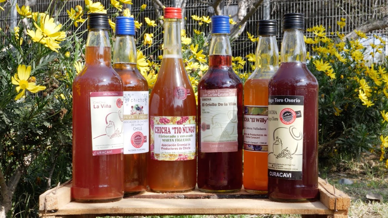 Chicha de Curacaví.¡Hay Chicha! Un documental sobre la tradición ...