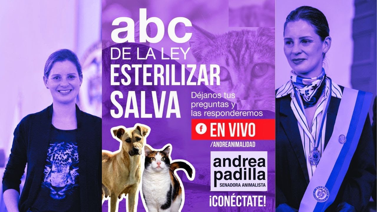 🟢 ABC De La Ley Esterilizar Salva de 🐶 Y 🐱 En Colombia - Senadora ...