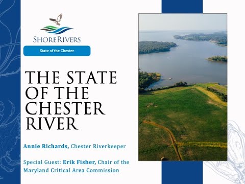 ShoreRivers - State of the Chester River Update | 5.1.2025 - YouTube