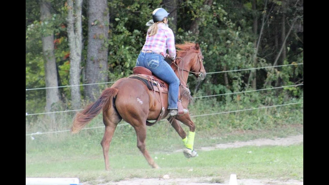 Working Equitation Speed Round Intermediate A. Alex Tyson and Chex My ...