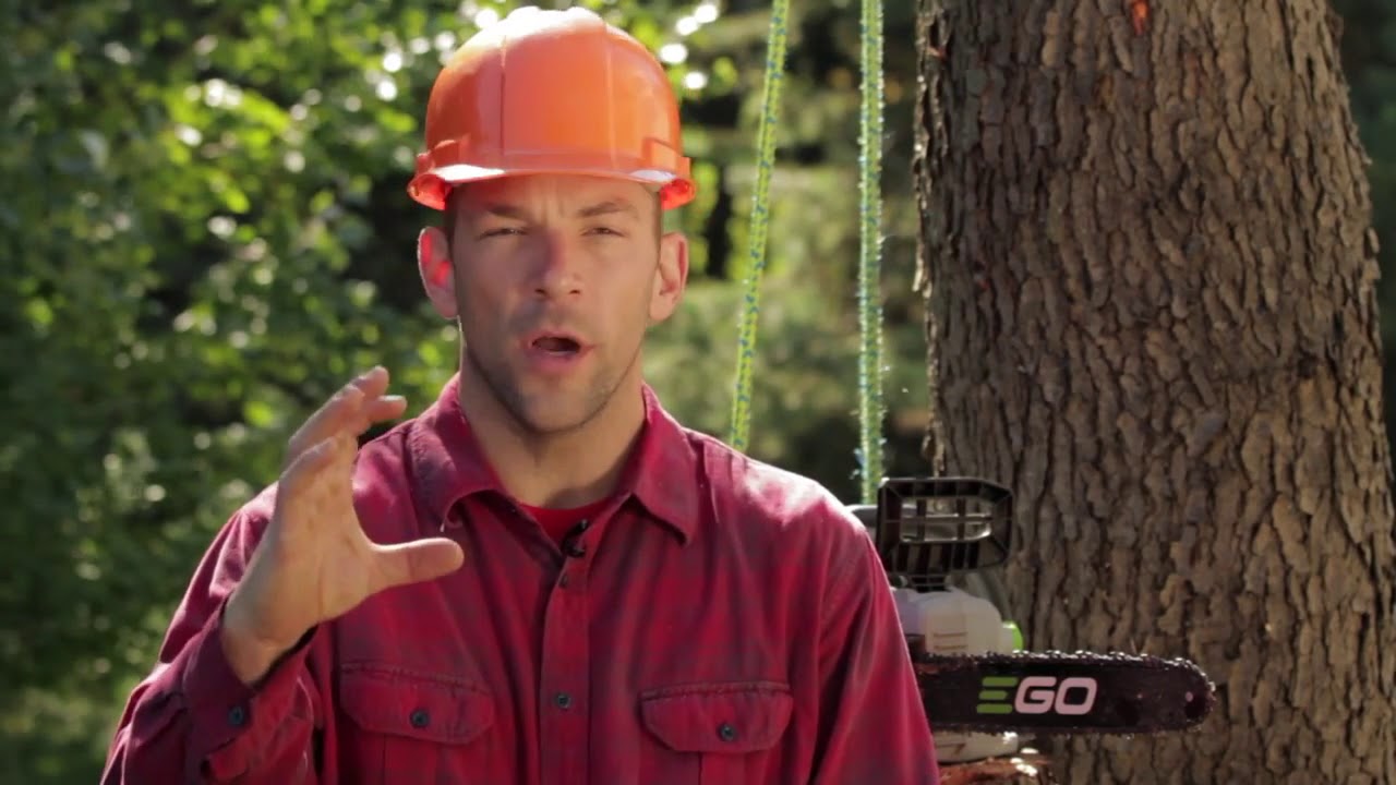 EGO 56 volt Power Plus Chainsaw Pro Review - YouTube