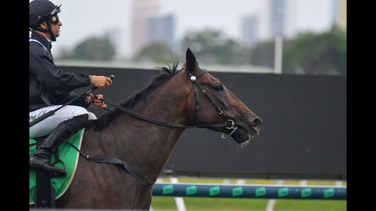 Campton Racing TV - Ep53 - YouTube