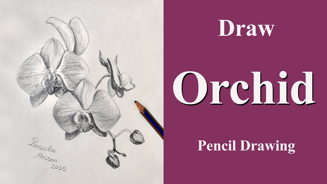 Orchid Drawing Tutorial | Easy & Realistic Flower Sketch for Beginners ...